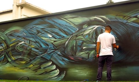 About Hopare Biography | Street Artist