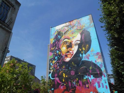 About C215 Biography