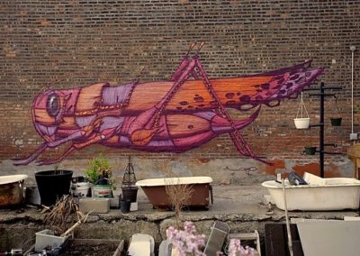 Sego and Ovbal Pictures