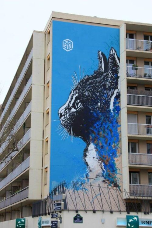 About C215 Biography